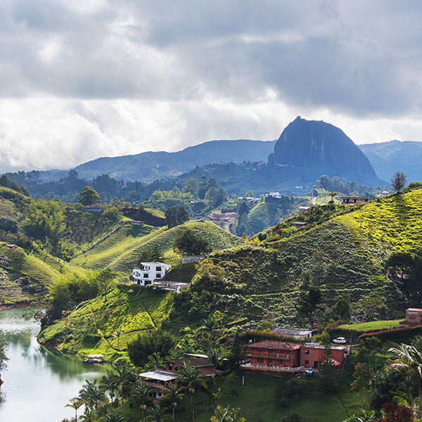 Colombian Emeralds – LUCIGO Jewelry